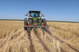 StripCat - AGROdeviate